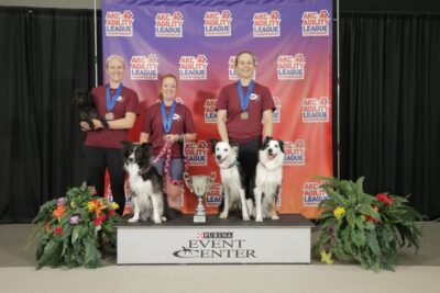 2025 AKC Agility League™ Championship – American Kennel Club