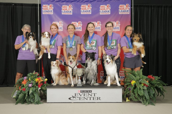 2025 AKC Agility League™ Championship – American Kennel Club
