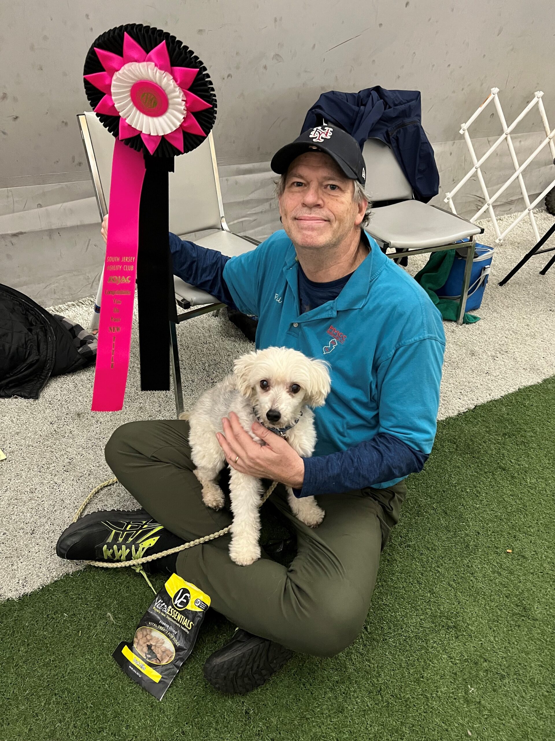 Agility League Spotlight: At 14, Winner is Still an Agility Standout ...