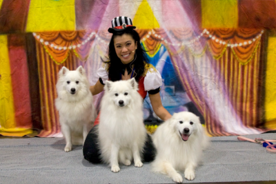 Breed and Community Representation Through Meet the Breeds