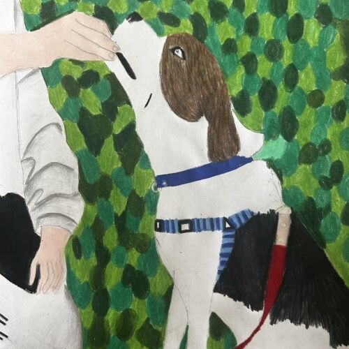 National Art Contest – American Kennel Club