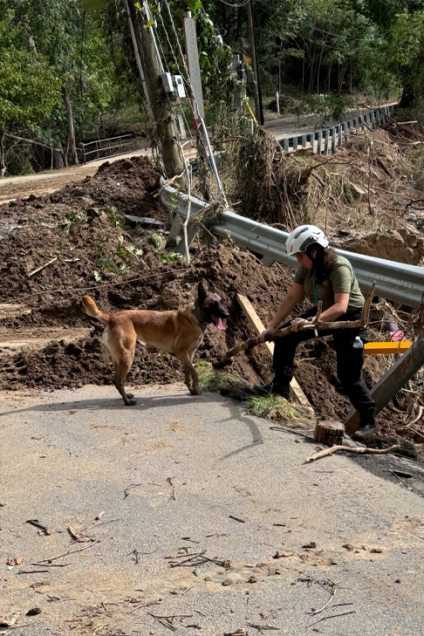 Volunteer Search & Rescue Dog Teams Respond to Hurricane Helene