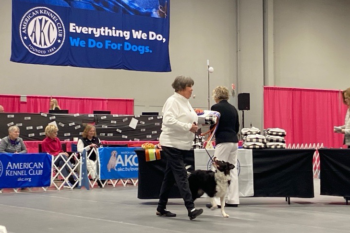 Meet the Winners of the 2024 AKC Obedience Classic