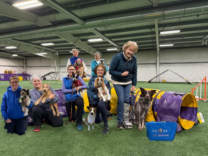 AKC Agility League Announces Fall 2024 Season Winners – American Kennel ...