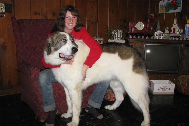 Expert Advice – Page 2 of 457 – American Kennel Club