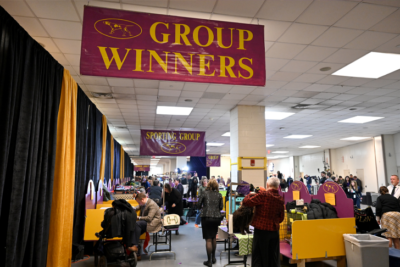 Meet the 2025 Westminster Group Winners