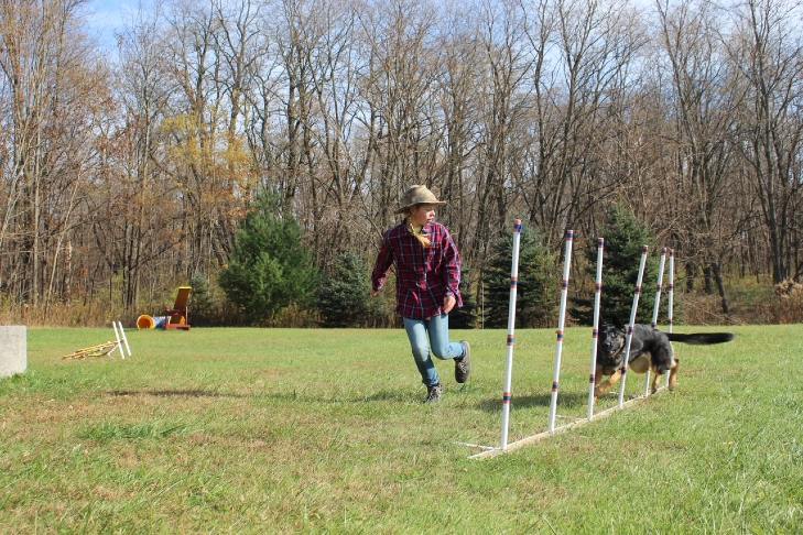 Junior Handler Succeeding with her German Shepherd in League & 4H – American Kennel Club