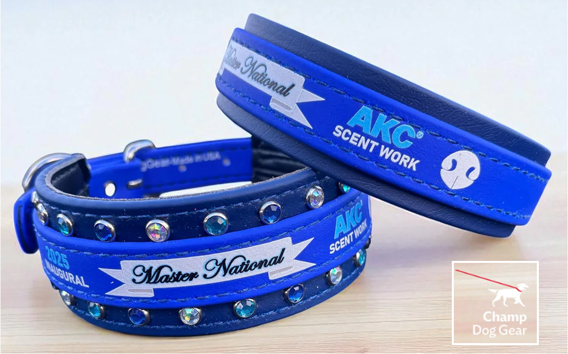 Scent Work Master National – American Kennel Club