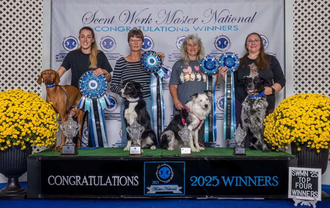 Scent Work Master National – American Kennel Club