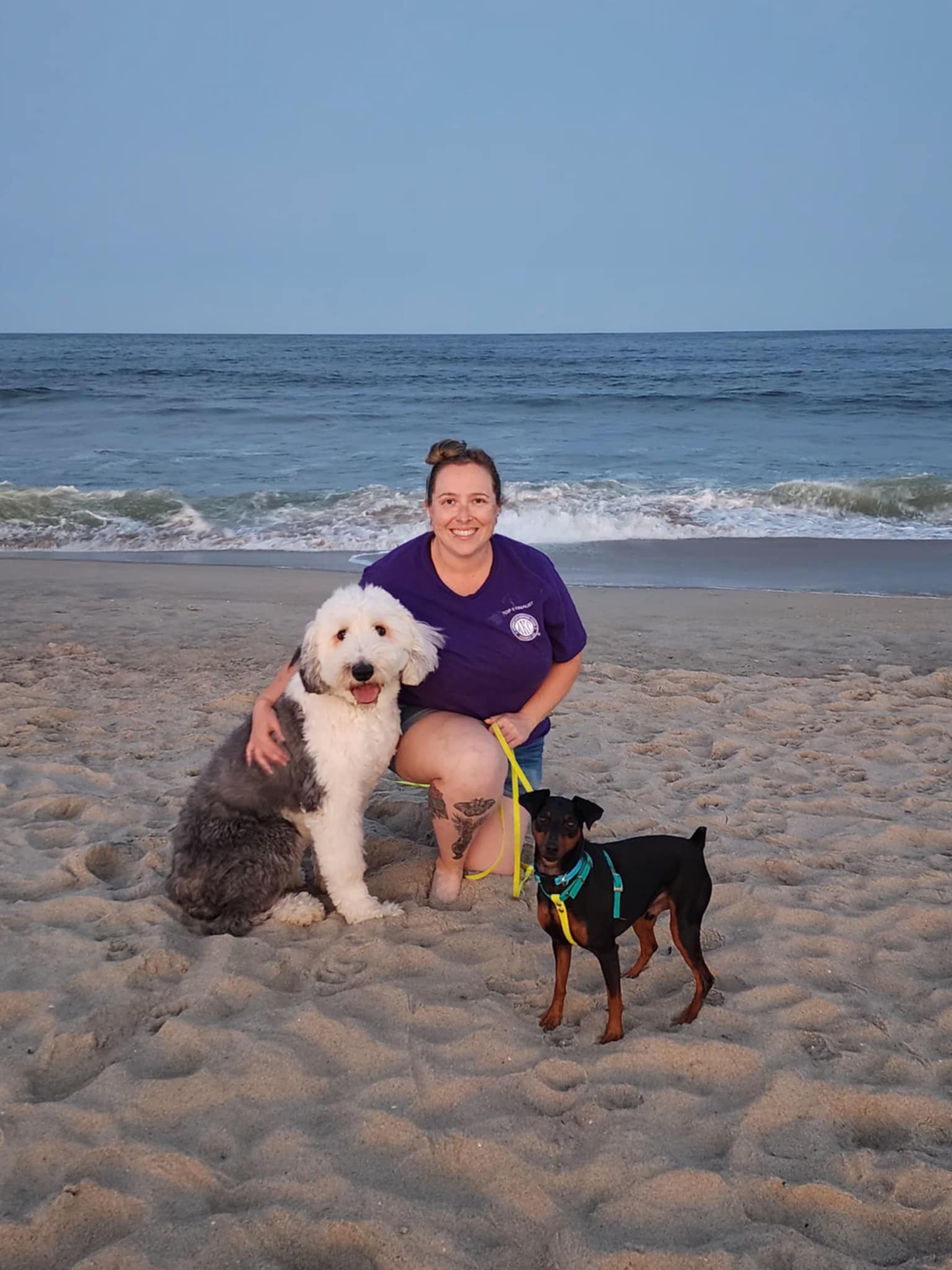 AKC Agility League Spotlight: Canine Odd Couple That Loves Agility ...