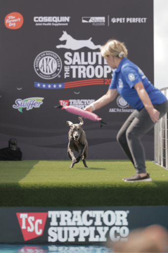 Meet Kathryn Murphy and 'Layla,' Dock Diving Veterans