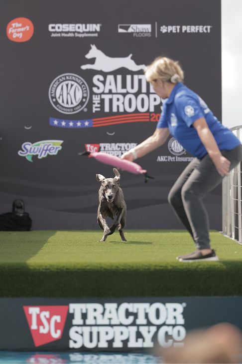 Meet Kathryn Murphy and 'Layla,' Dock Diving Veterans