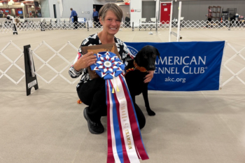 Labrador Retriever 'Zesty' Wins 2025 National Obedience Championship