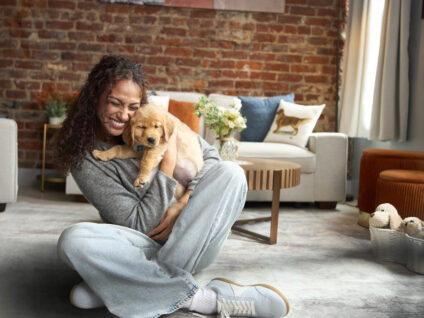 American Kennel Club