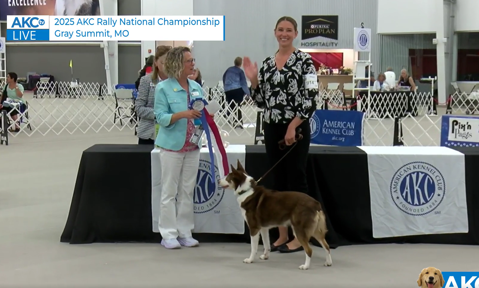 Congrats to All American Dogs at the 2025 AKC Rally National Championship – American Kennel Club