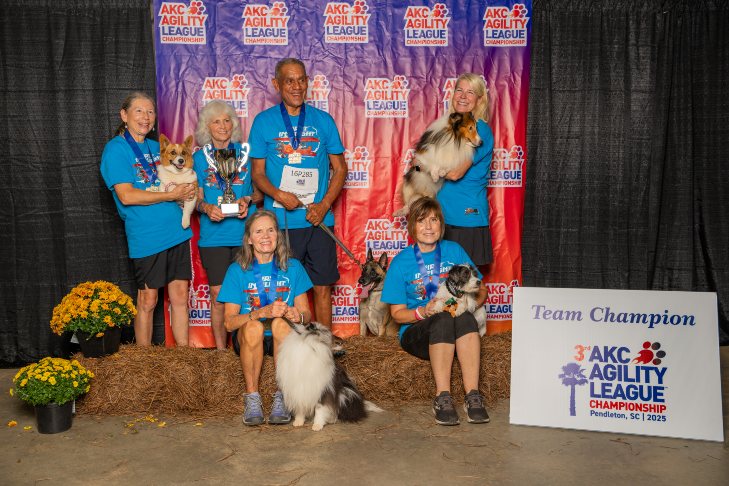 2025 AKC Agility League™ Championship – American Kennel Club