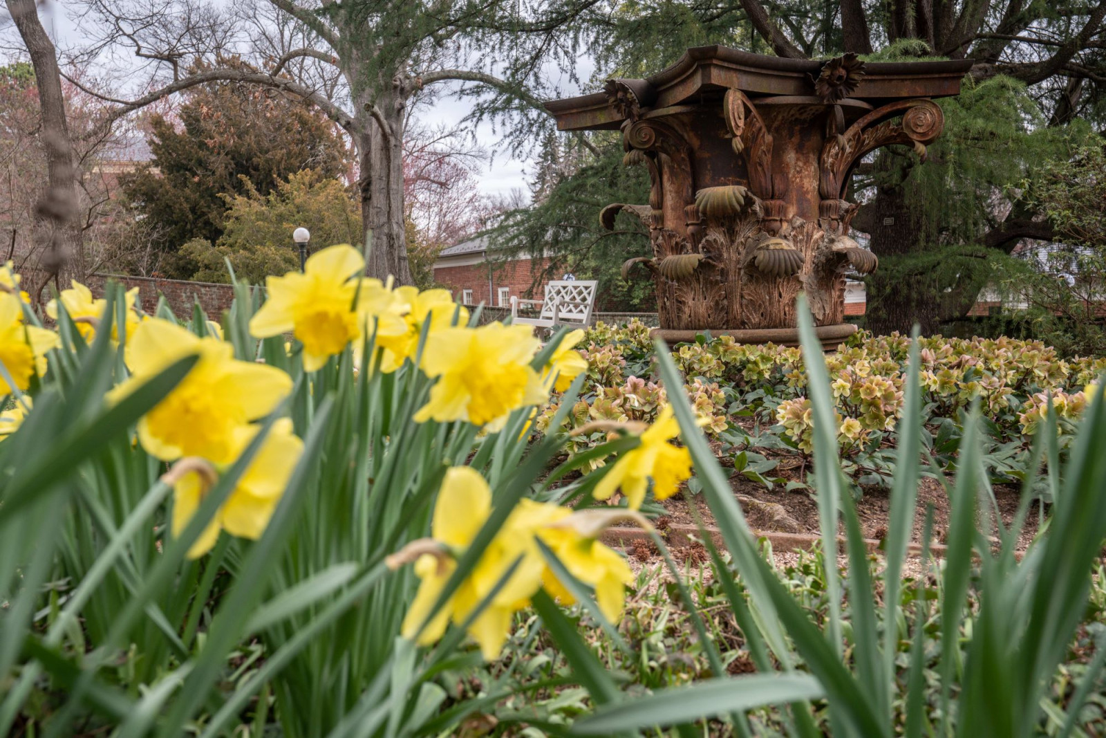 An Introduction to Contemplative Pedagogy — UVA Teaching Hub