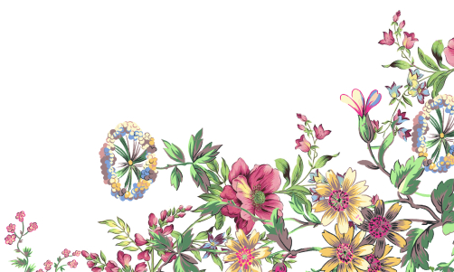 Buy April Cornell Clothing and Linens Online