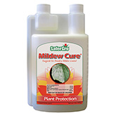 Powdery Mildew | Identify, Prevent & Control