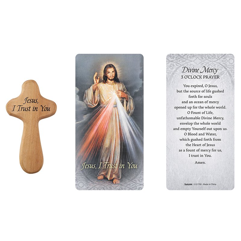 Hand-Held Prayer Cross with Card - Divine Mercy - 12/pk, Devotional ...