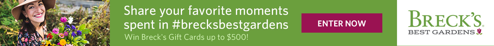 Breck's - Direct to you from Holland since 1818