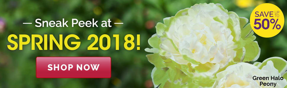 Brecks Premium Flower Bulbs: Shop Now for Iris, Day Lily, Daffodil ...