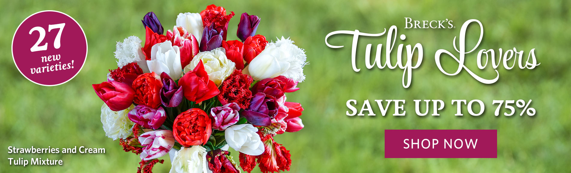 Breck's - Direct to you from Holland since 1818