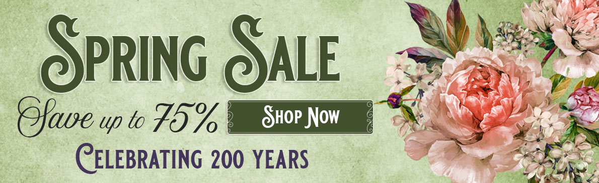 Brecks Premium Flower Bulbs: Shop Now for Iris, Day Lily, Daffodil ...