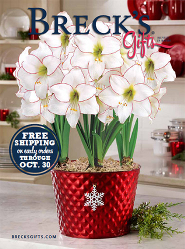 Catalog Request | Breck's Gifts