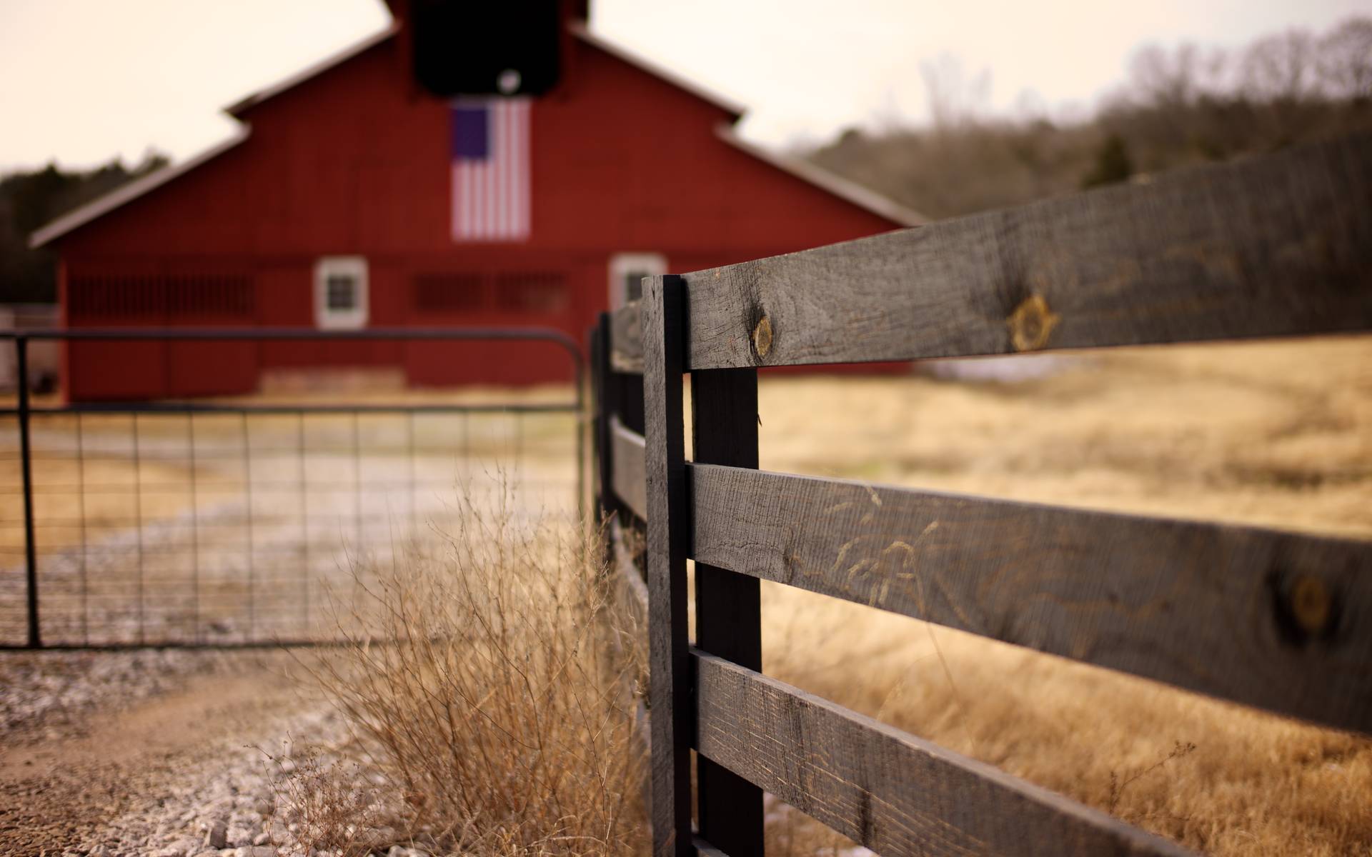 Grassland Home Values