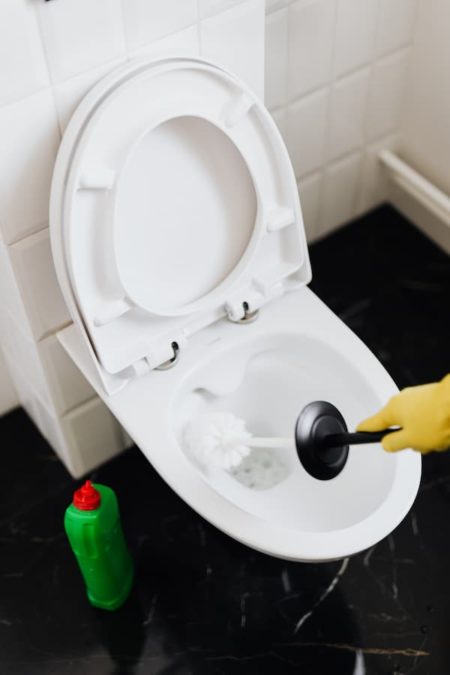 Cómo limpiar el inodoro con agua oxigenada: guía semanal fácil y ...