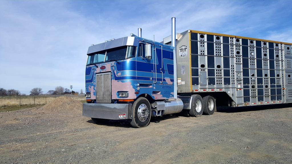 1988 Peterbilt 362