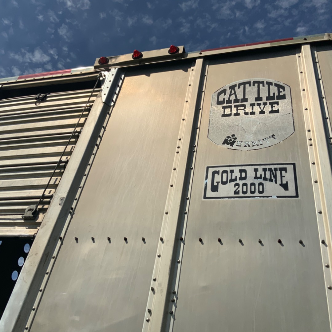 2001 Merritt Gold Line