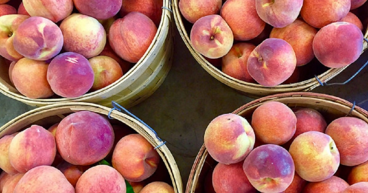 The Georgia Peach May Be Vanishing, but Its Mythology Is Alive and Well ...