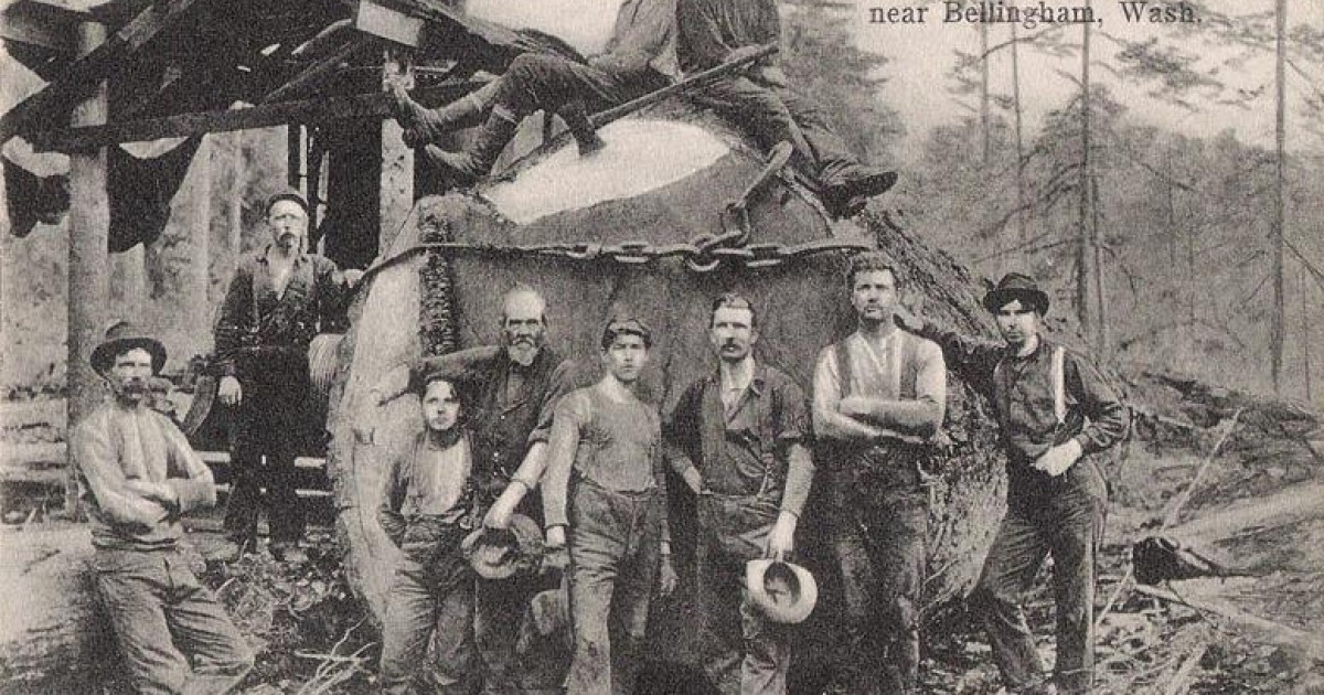 The Lost Language of American Loggers — Bunk