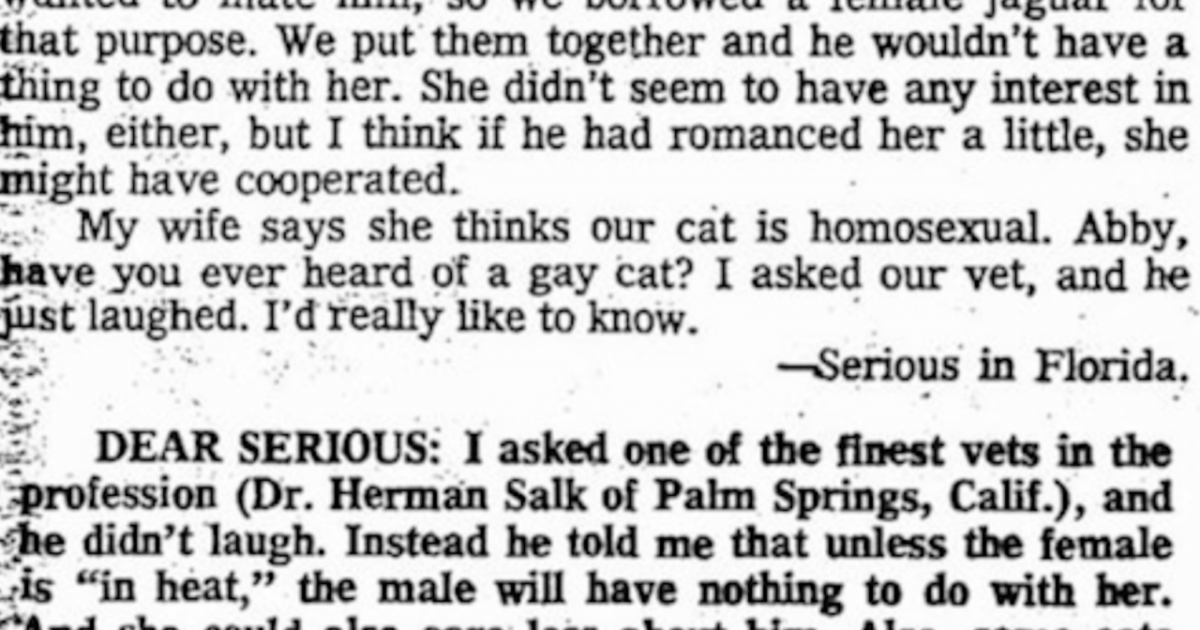 The Power of the Advice Columnist — Bunk