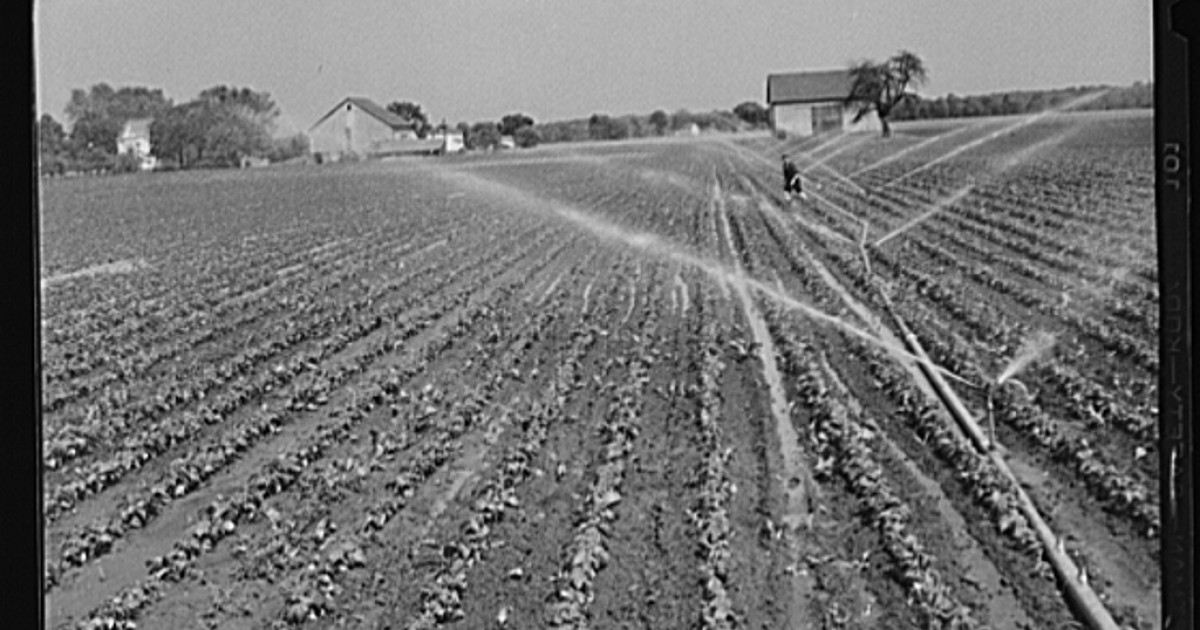 The Value of Farmland: Rural Gentrification and the Movement to Stop ...