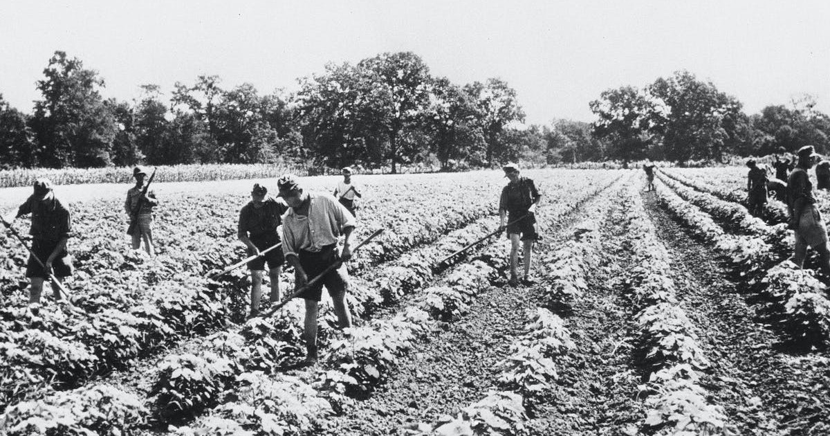 The Oil Boom’s Roots in East Texas Cotton Farming — Bunk