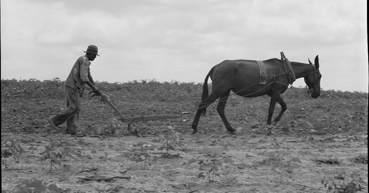 Revisiting “Forty Acres and a Mule” — Bunk