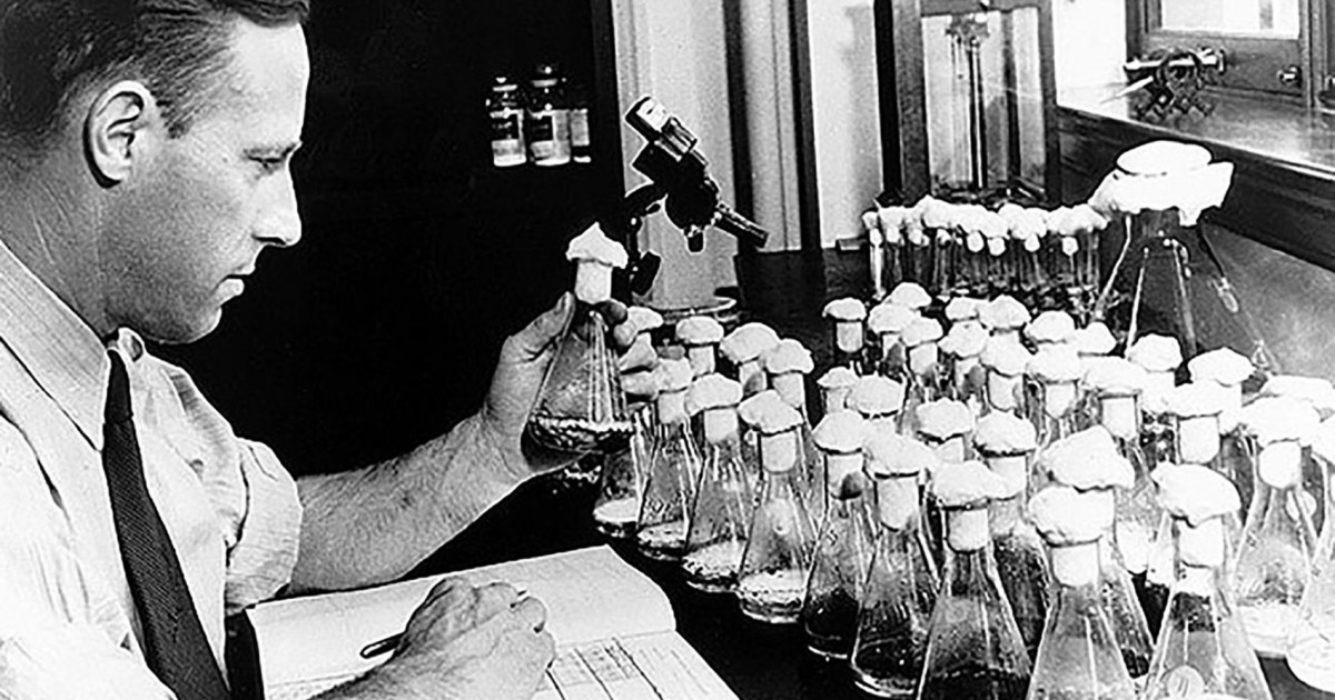 Penicillin: How a Miracle Drug Changed the Fight Against Infection ...