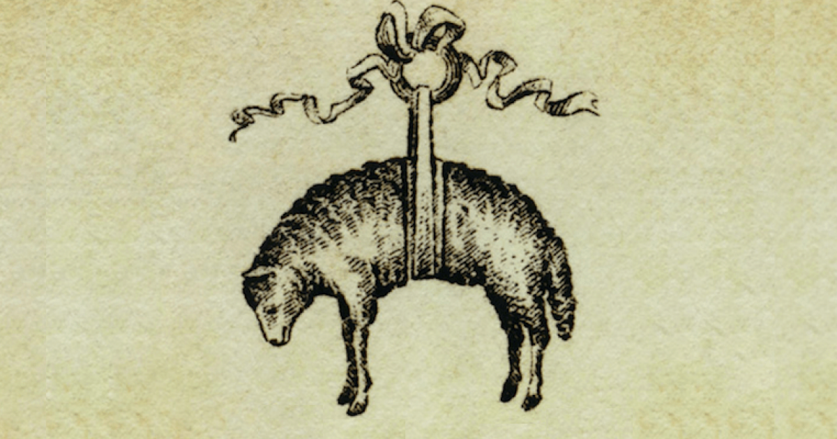 Lamb to the Slaughter — Bunk