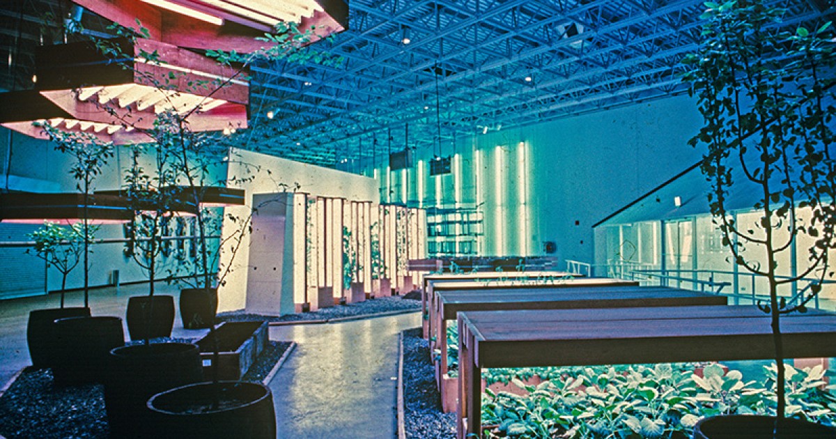 Art Lessons From the 1970s For Survival In An Ecologically Blighted ...