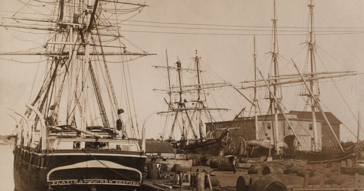 The American Whaling Industry — Bunk