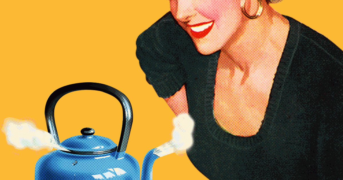 How the Fossil Fuel Industry Convinced Americans to Love Gas Stoves — Bunk