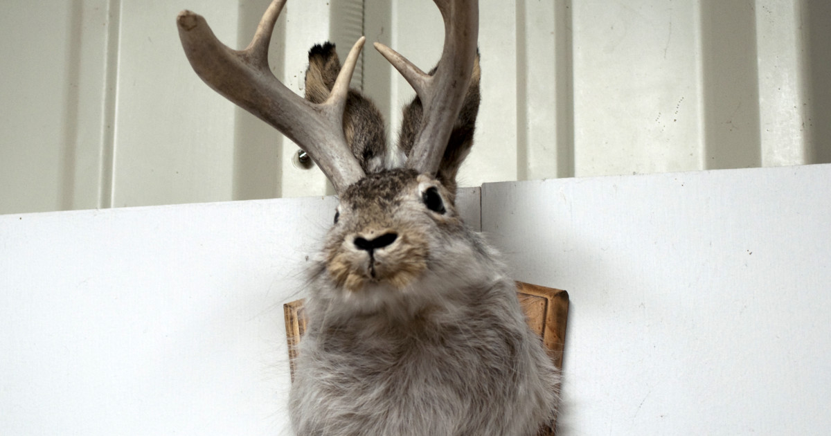 The Legend of the Horned Rabbit of the West — Bunk