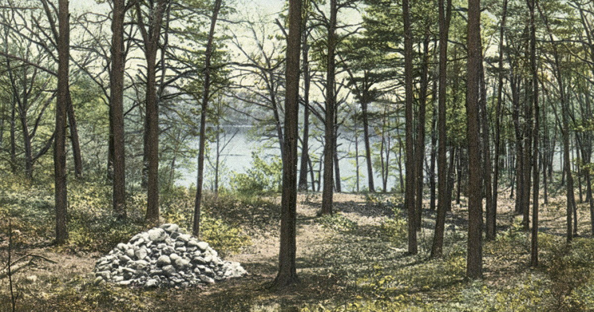 Using Thoreau’s Notebooks to Understand Climate Change — Bunk