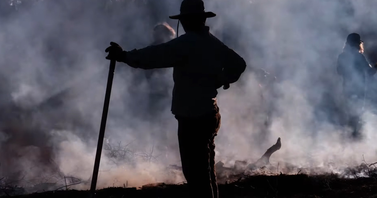 How the Indigenous Practice of "Good Fire" Can Help Our Forests Thrive ...