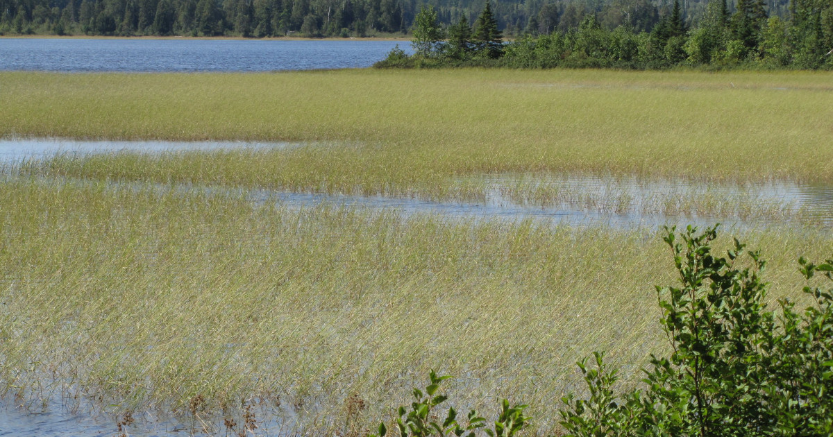 What Minnesota's Mineral Gaze Overlooks — Bunk