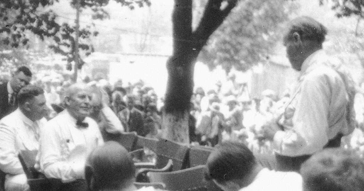 Was David Domer Canceled? — Bunk