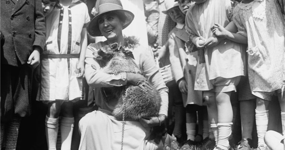 When Rebecca the Raccoon Ruled the White House — Bunk